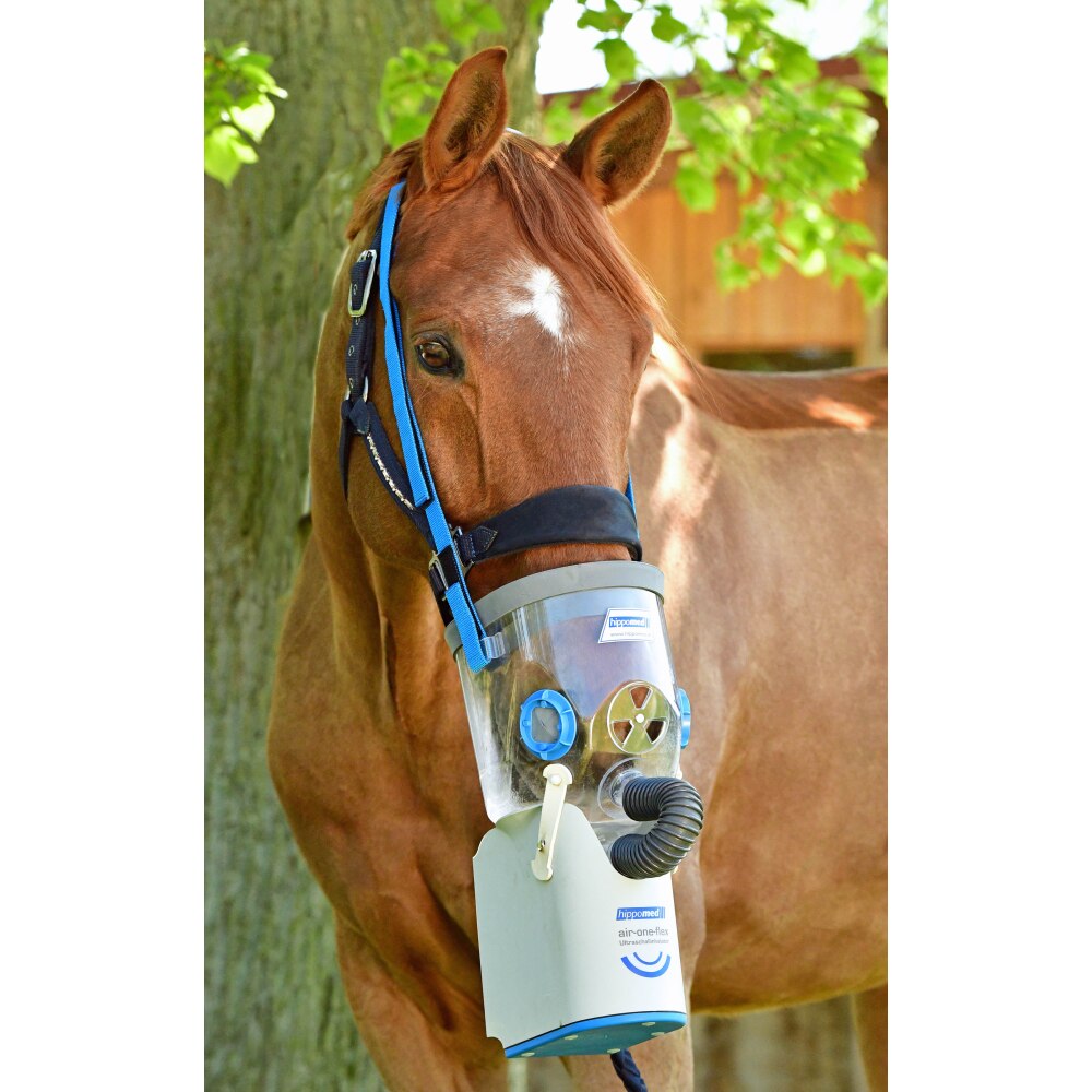 Hippomed Air One Pferdeinhalator online kaufen | medplus