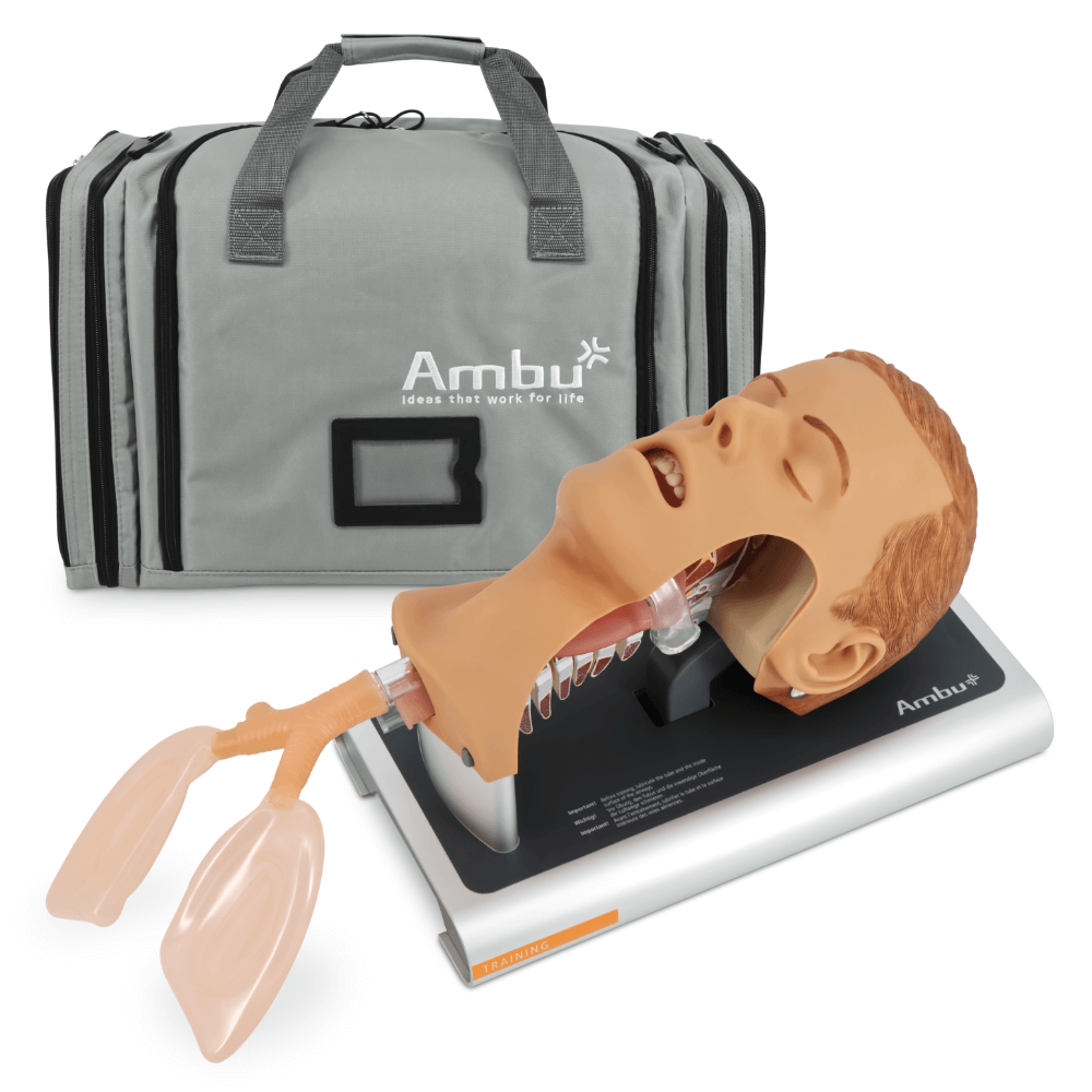 Ambu Intubationstrainer » Airway Management Trainer